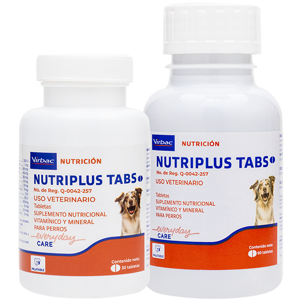Nutriplus TABS | Suplemento Nutricional para Perros: Vitaminas y Minerales para Crecimiento y ...
